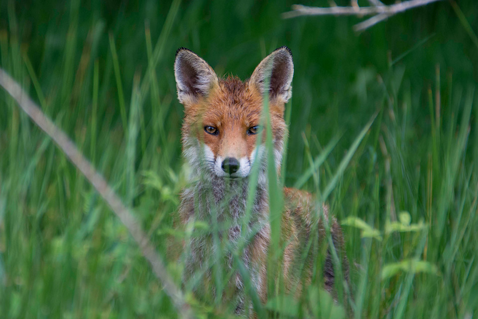 Rethink Nature - The Point