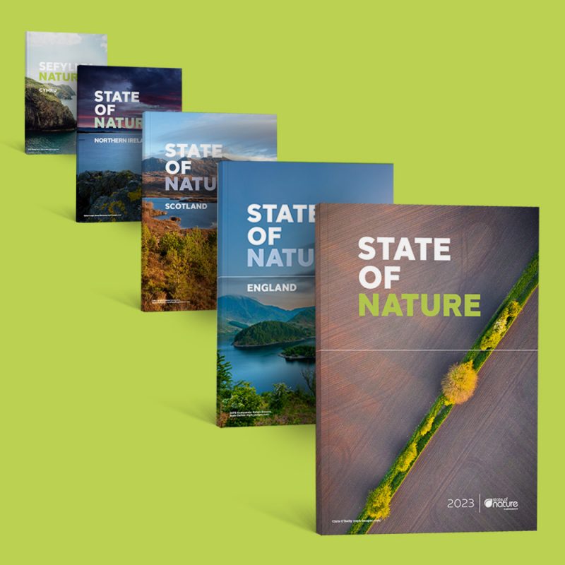 State of Nature Reports - Out Now - The Point